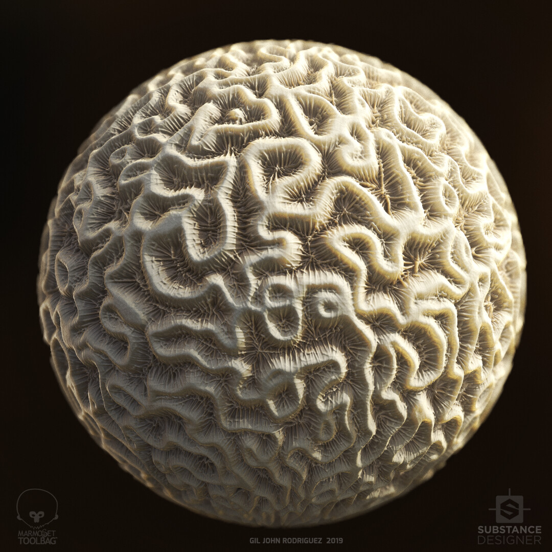 ArtStation - Brain Coral