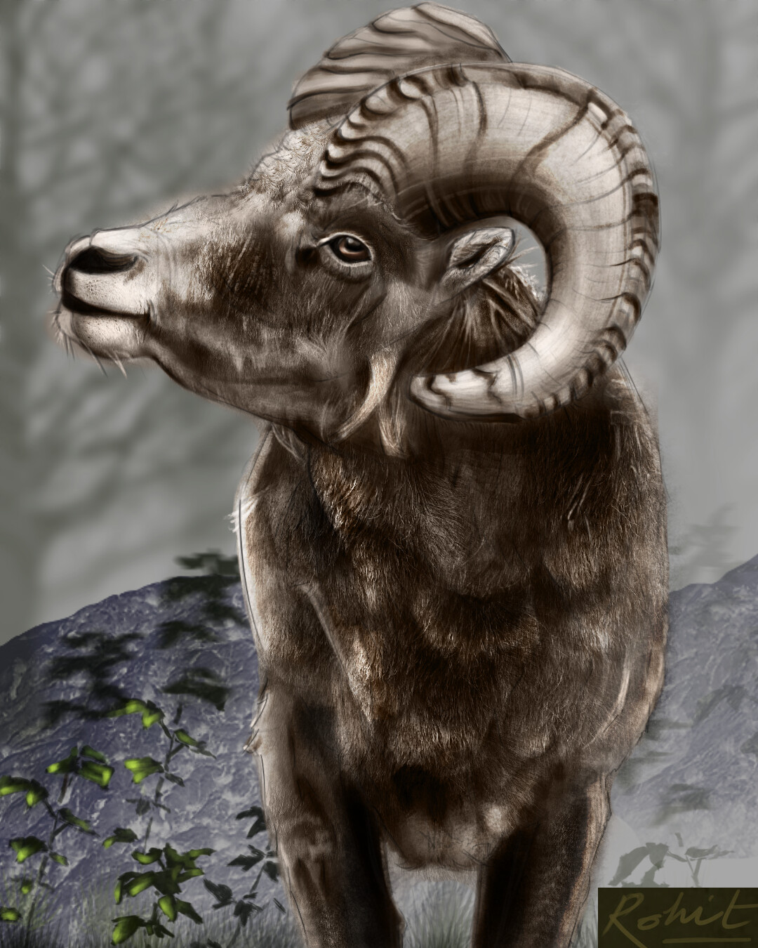 ArtStation - Hill Goat