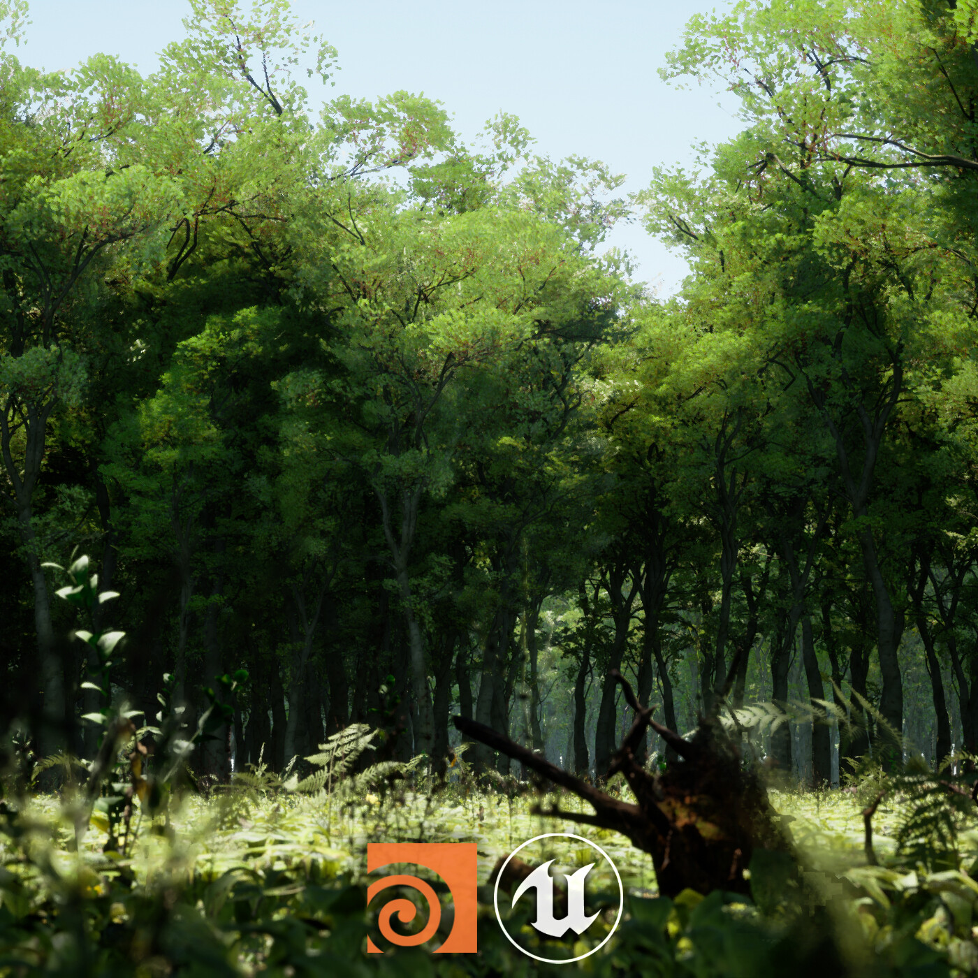ArtStation - European Beech Oak Forest