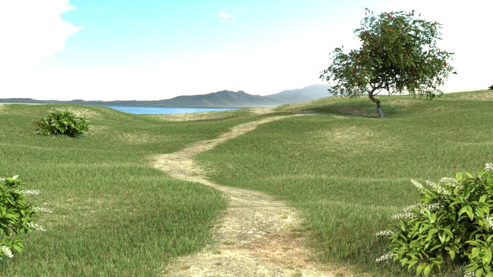 ArtStation - Grass Field