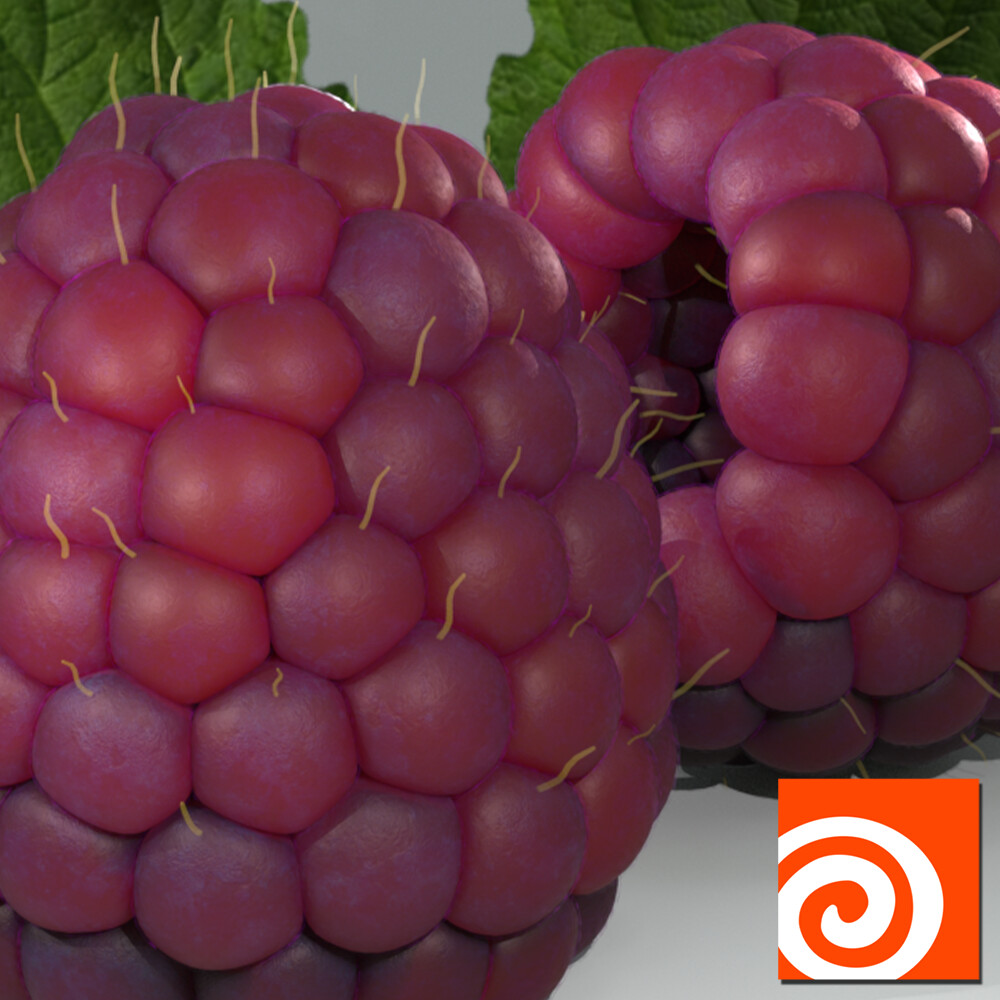 ArtStation - Procedural Berries