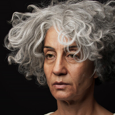 Şefki Ibrahim - THE SILVINA PROJECT