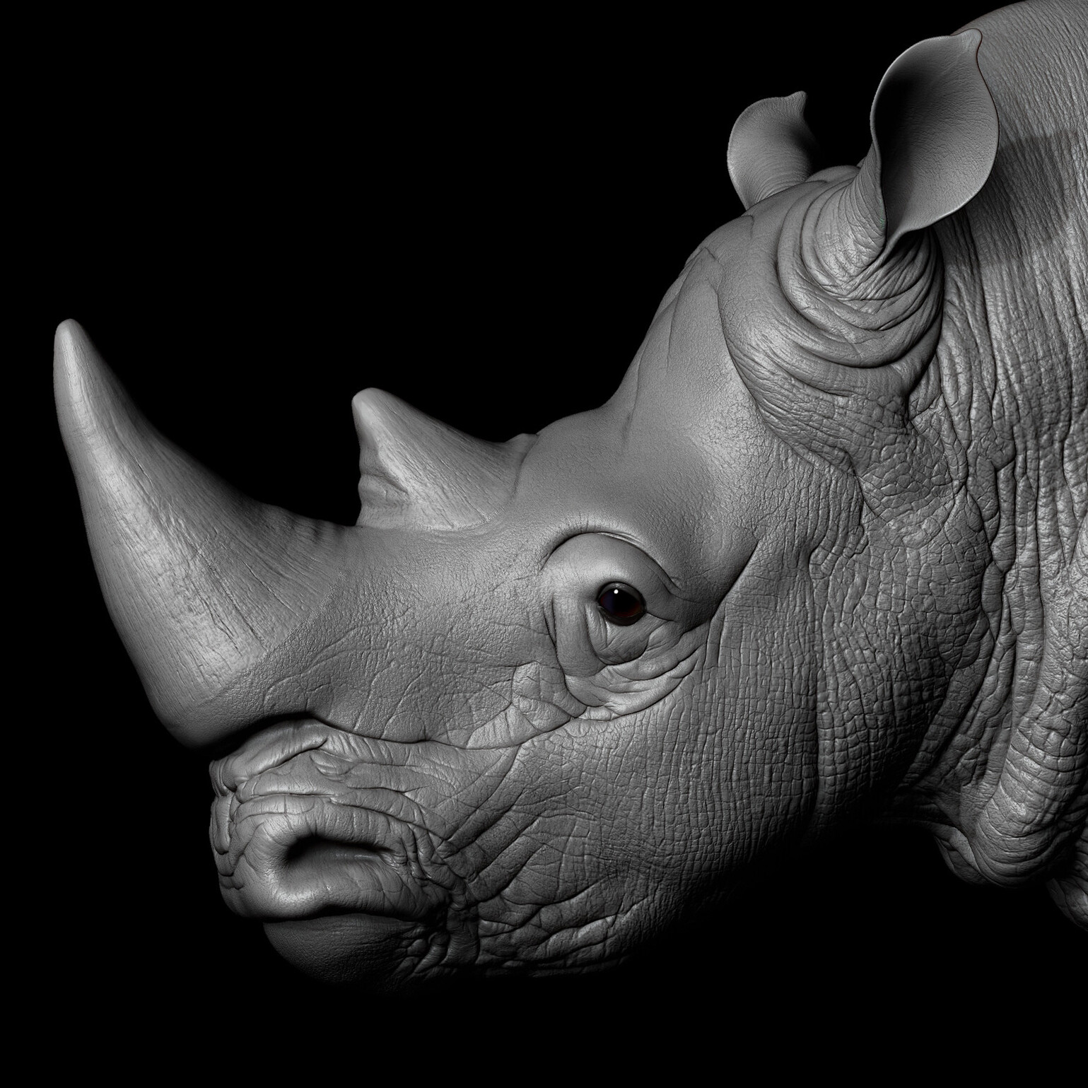 ArtStation - White rhino