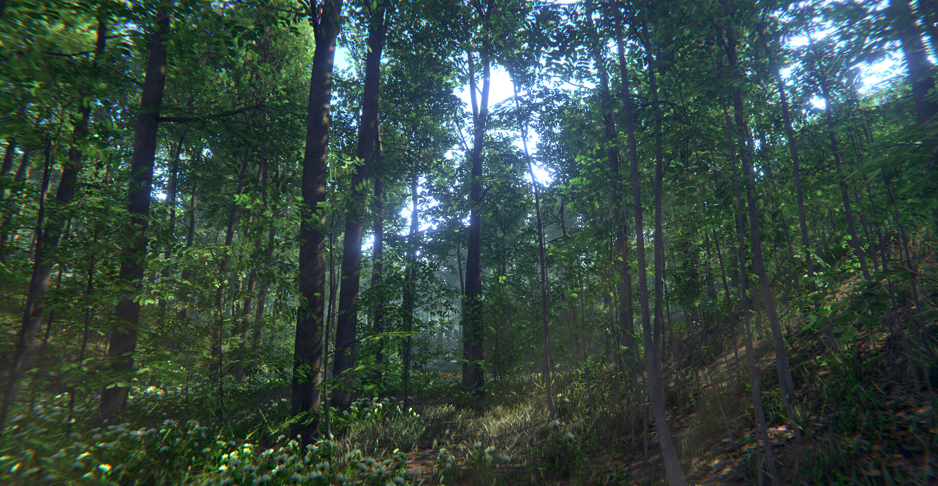 ArtStation - Nature Package - Forest Environment for Unity