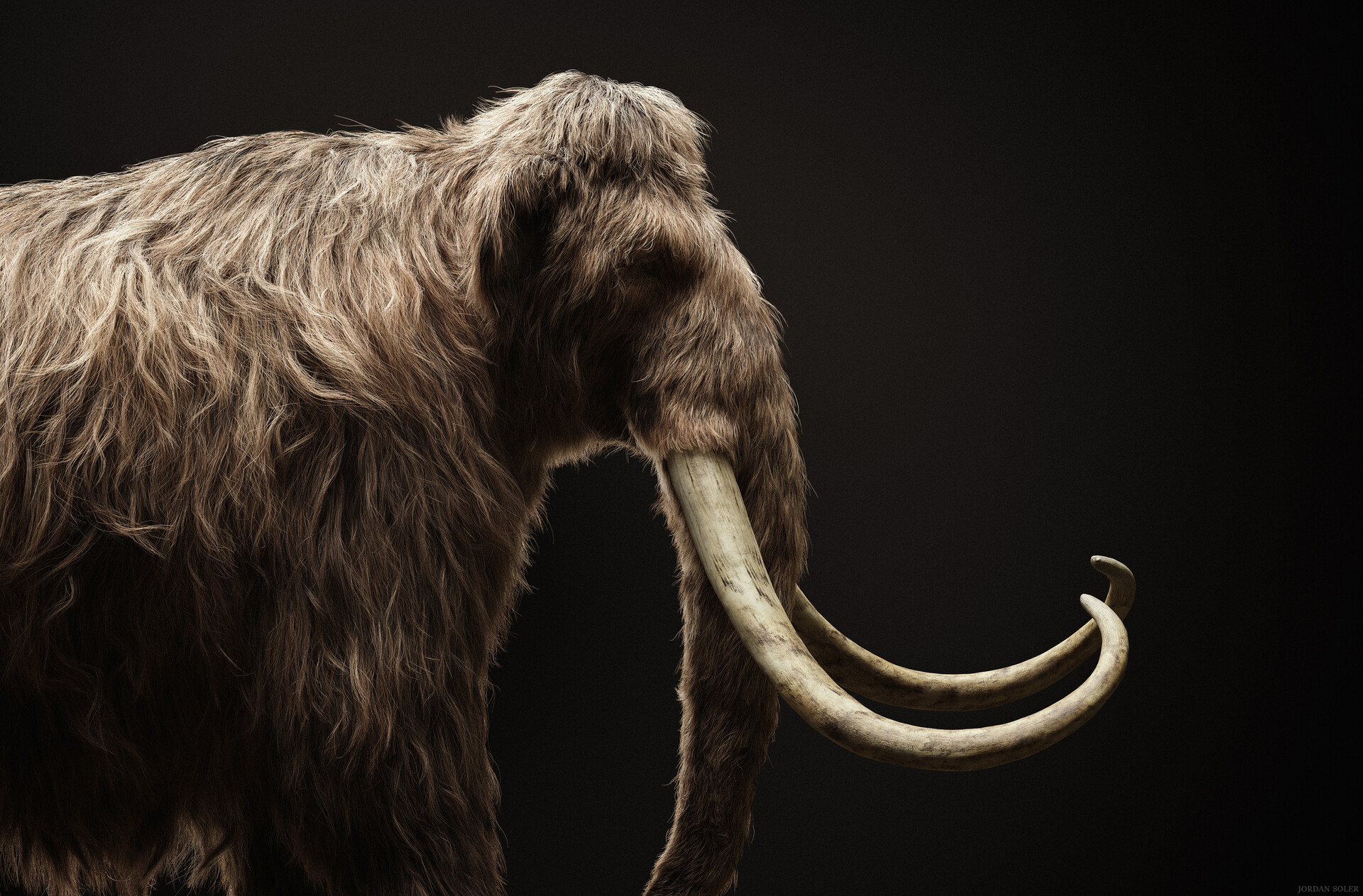 ArtStation - Mammoth