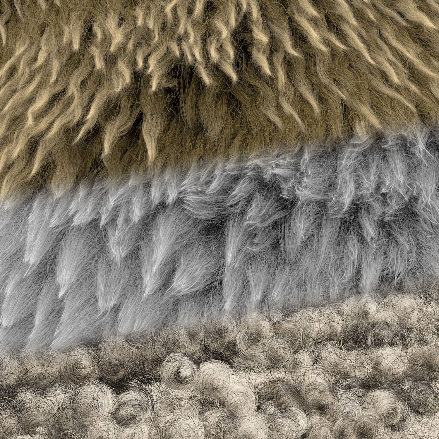 ArtStation - Fur Studies