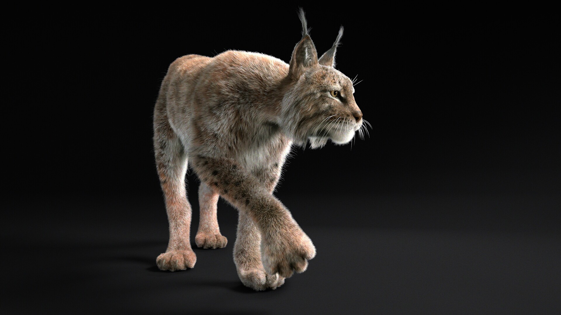 ArtStation - Lynx