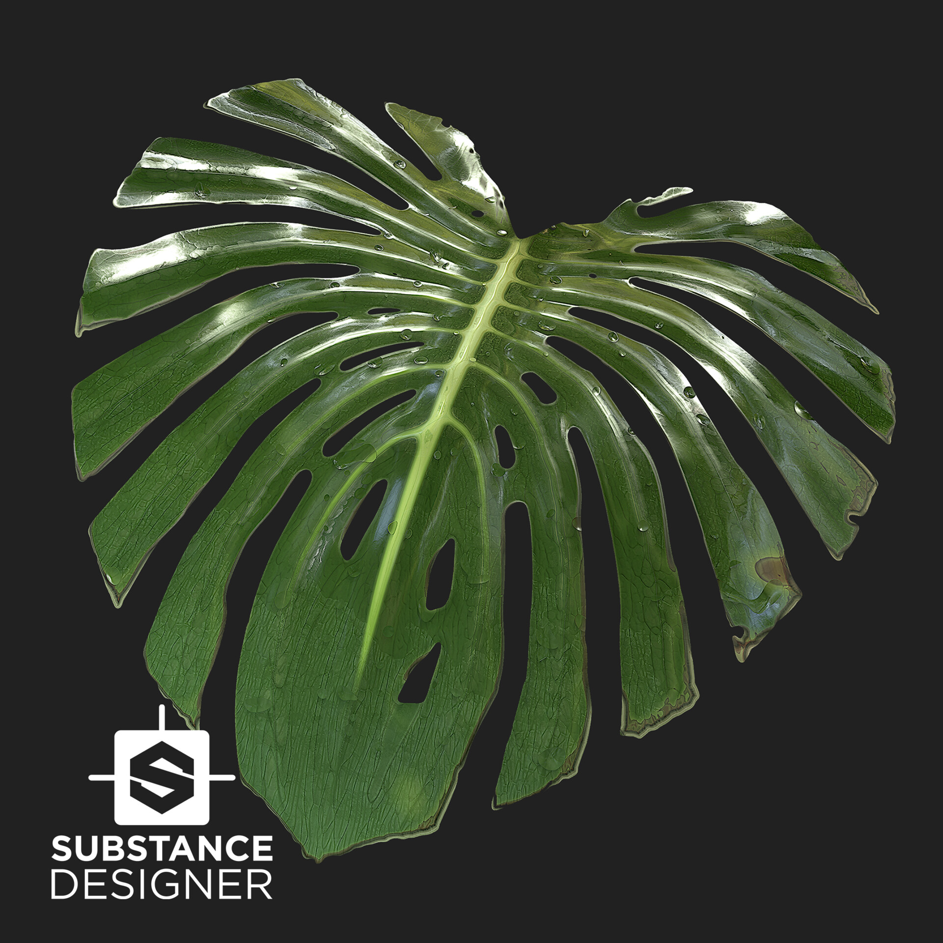 ArtStation - Monstera Leaf Generator