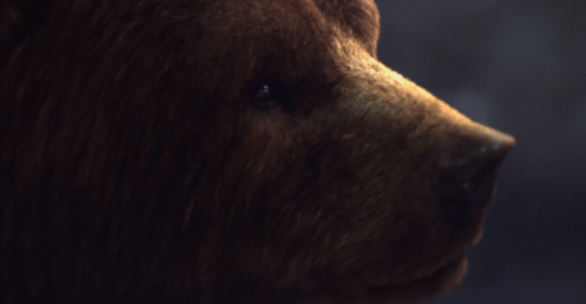 ArtStation - Bear Breakdown