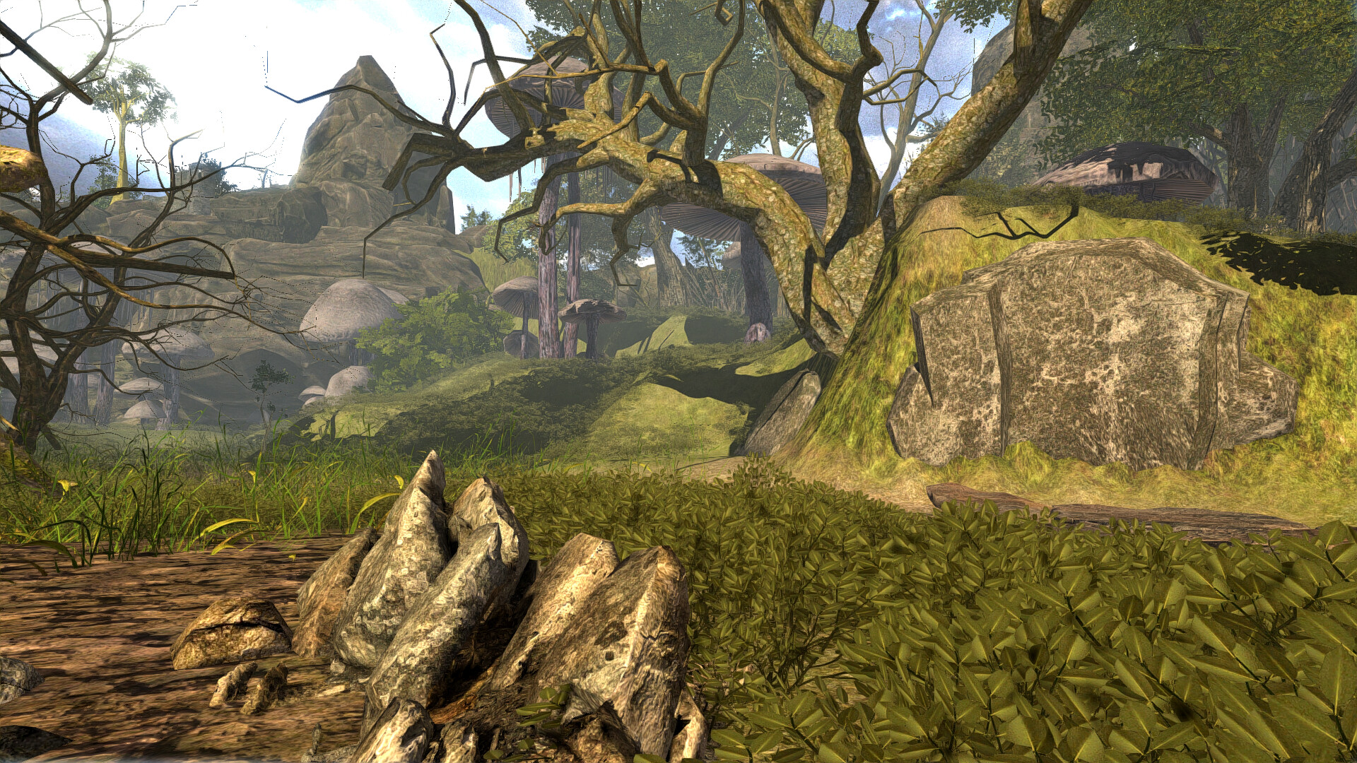 ArtStation - Shavra - Renaissance IV