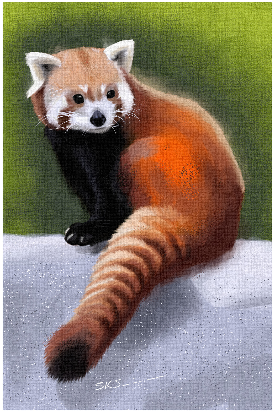 ArtStation - Red Panda