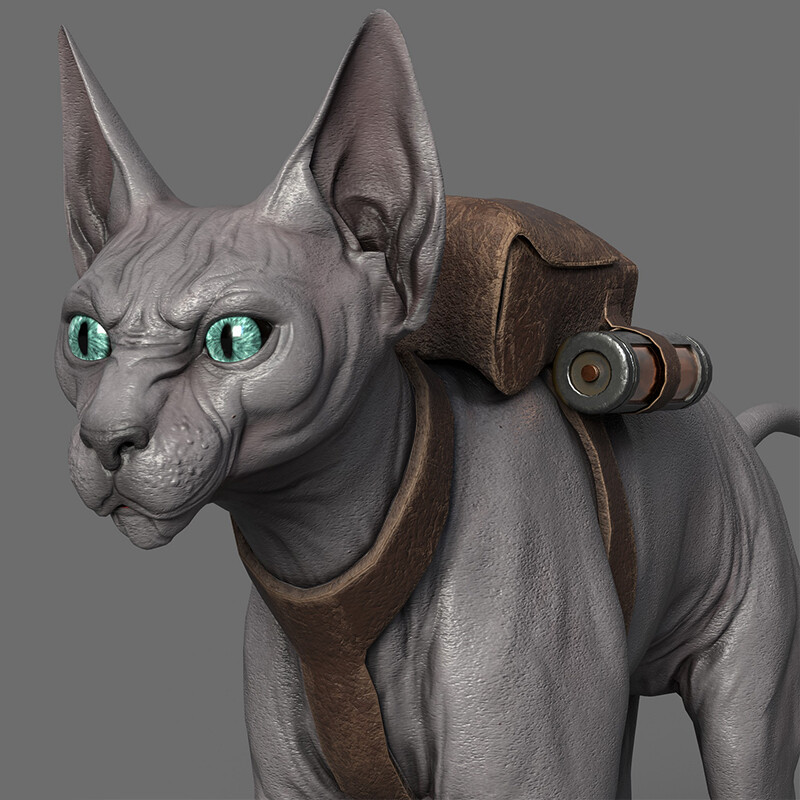 ArtStation - Sphinx Cat