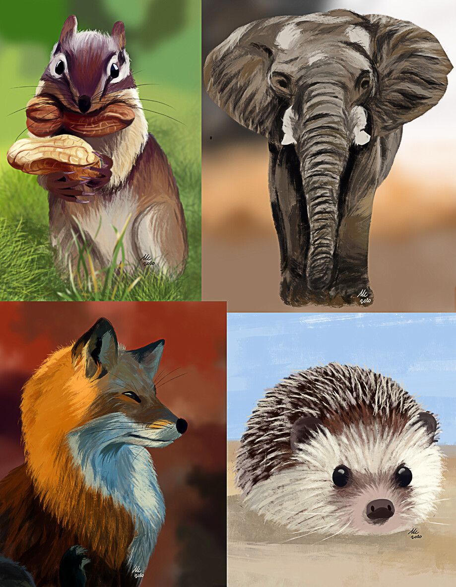 Merve Kaplan - Animals