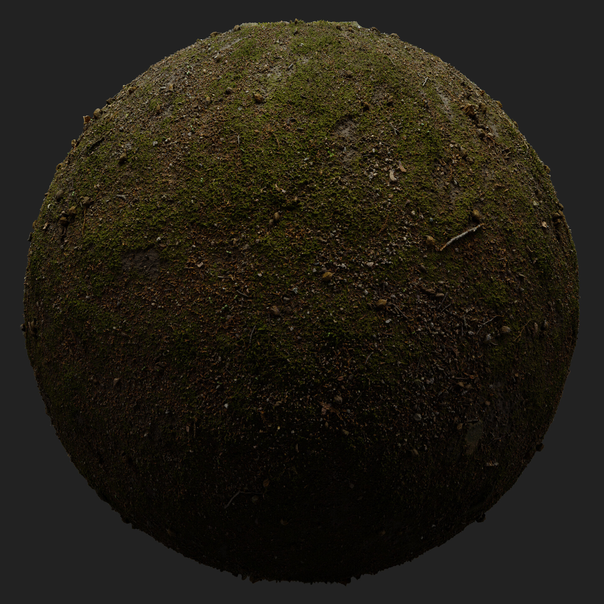 ArtStation - Mossy Ground Mixed Texture | Photoscanned