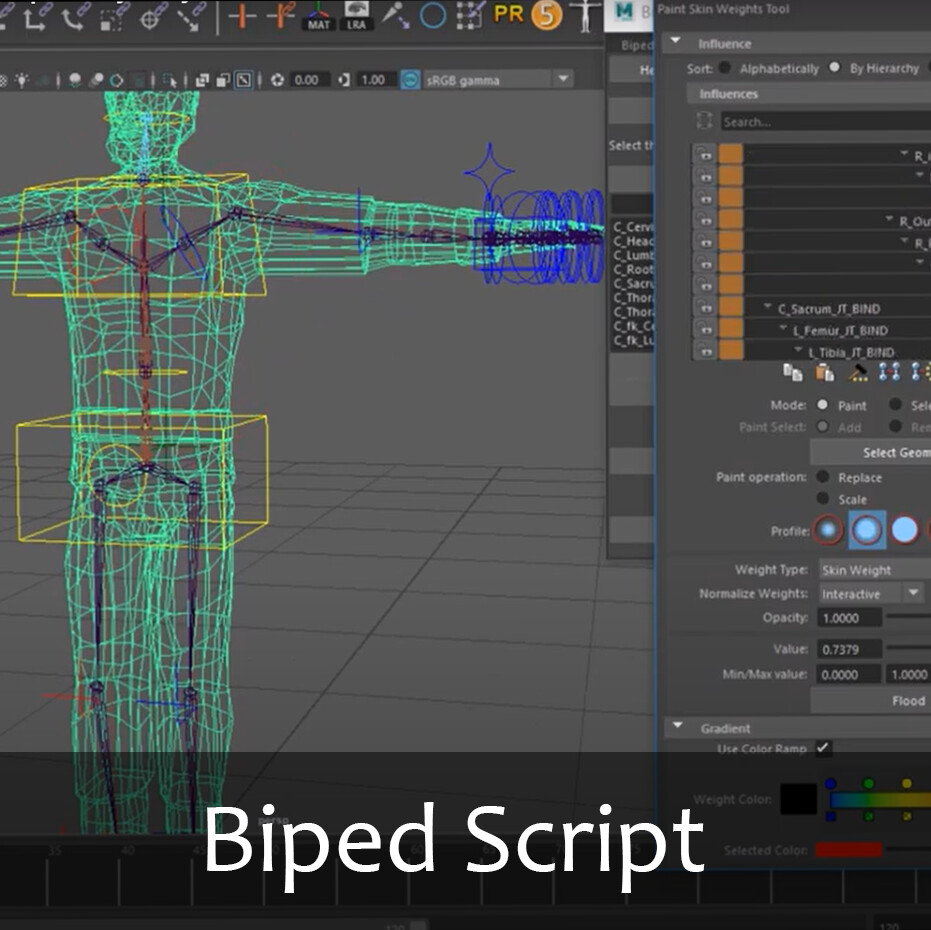ArtStation - Biped Auto Rigging Script