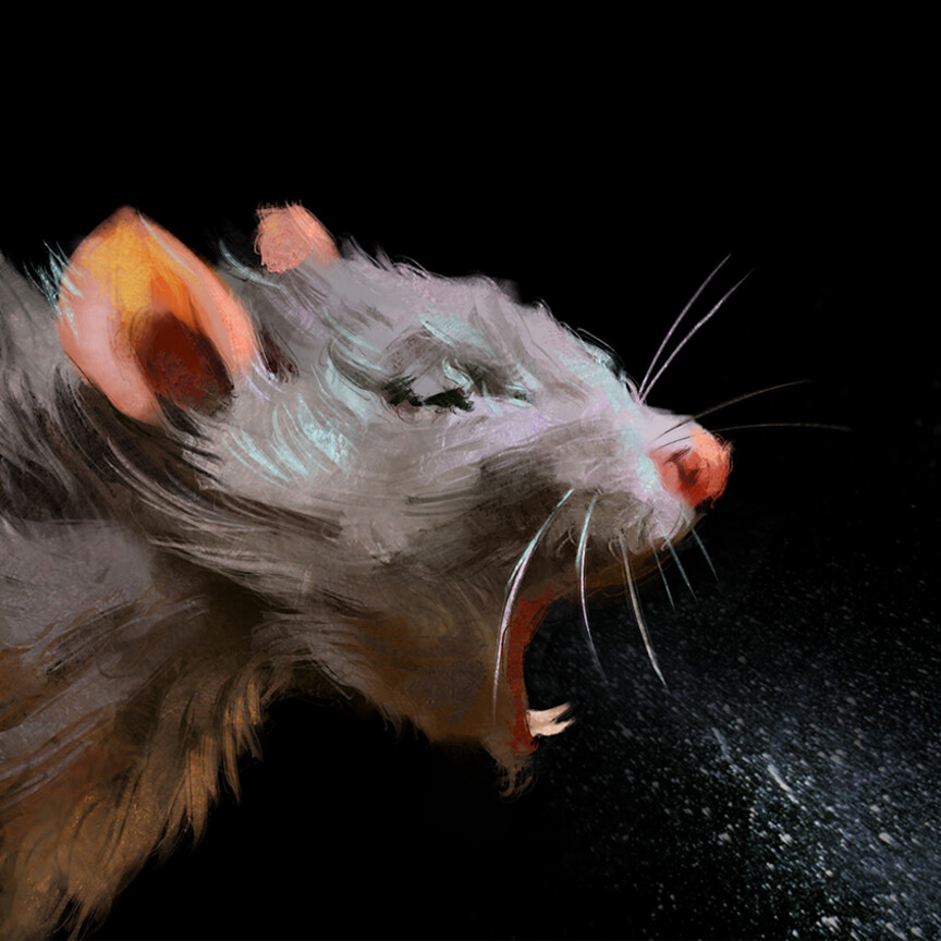 Choob . - Year Of The Rat