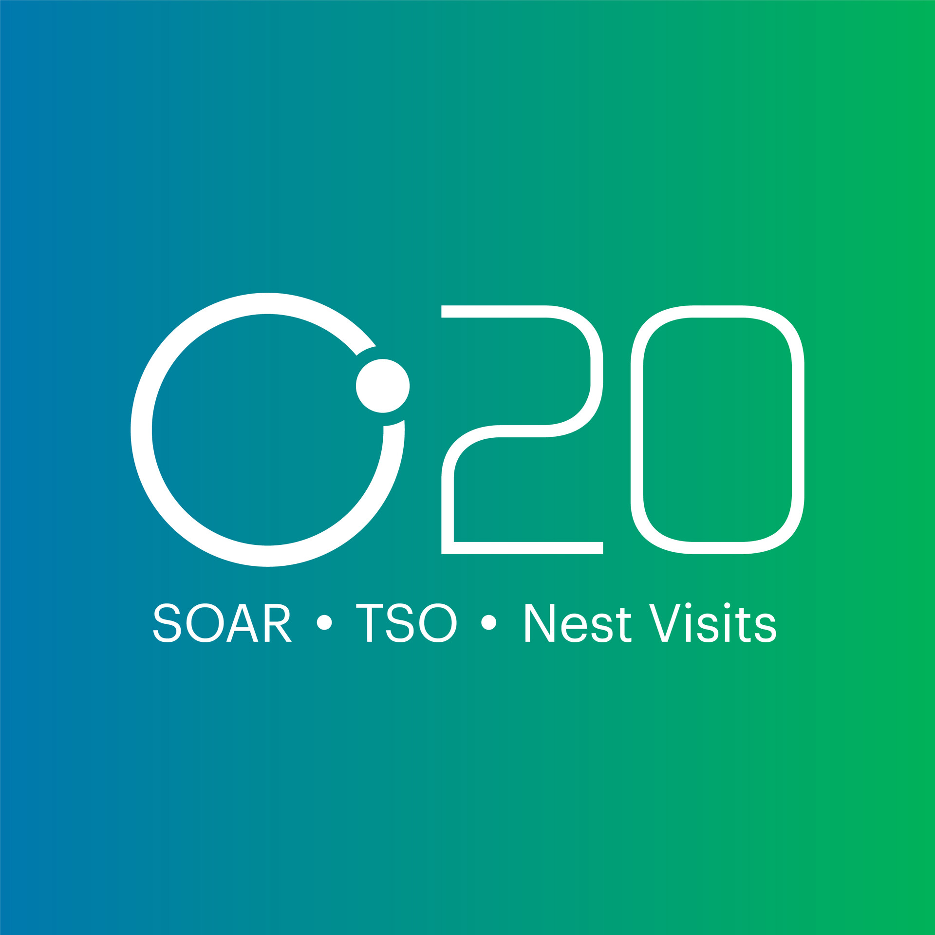 Andy Robb - Streaming Service Themed Training Schedules