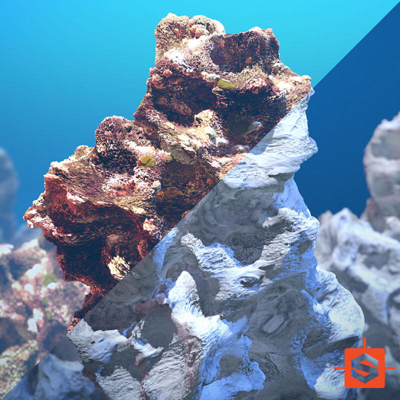 ArtStation - Live and Dead Rock Coral - Substance Designer