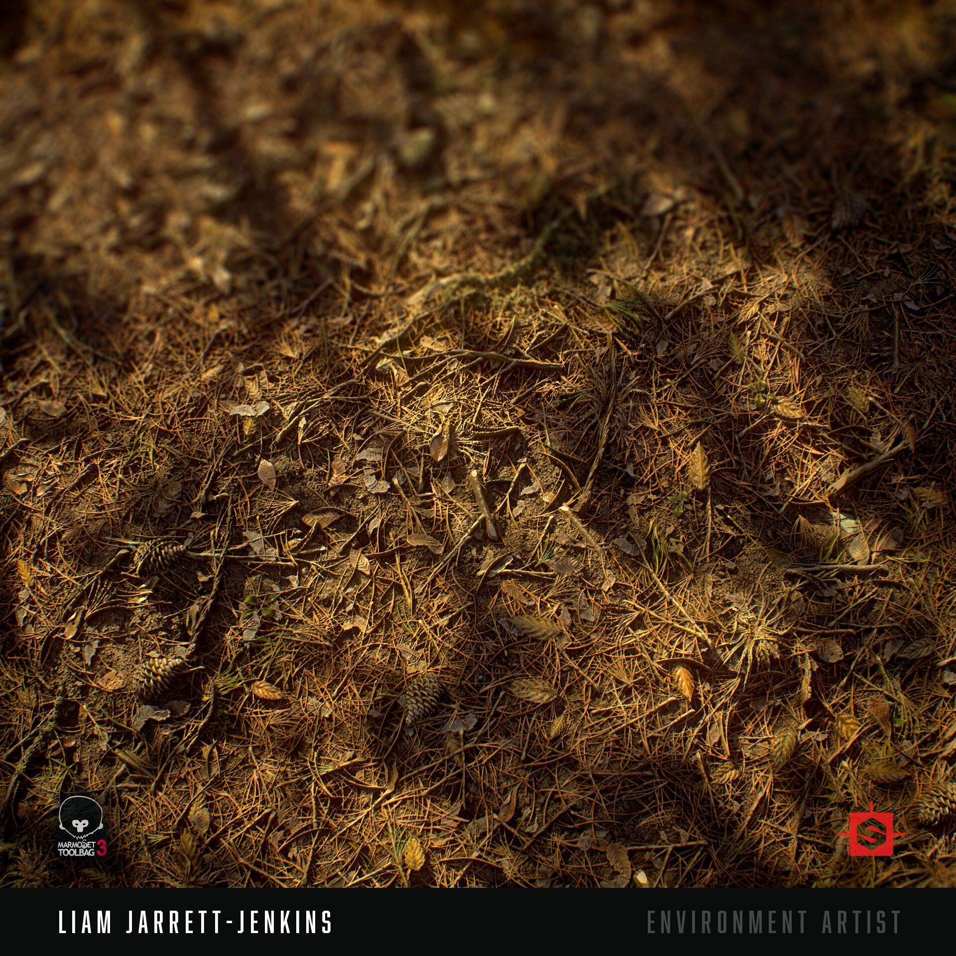 Liam Jarrett-Jenkins - Pine Forest Floor