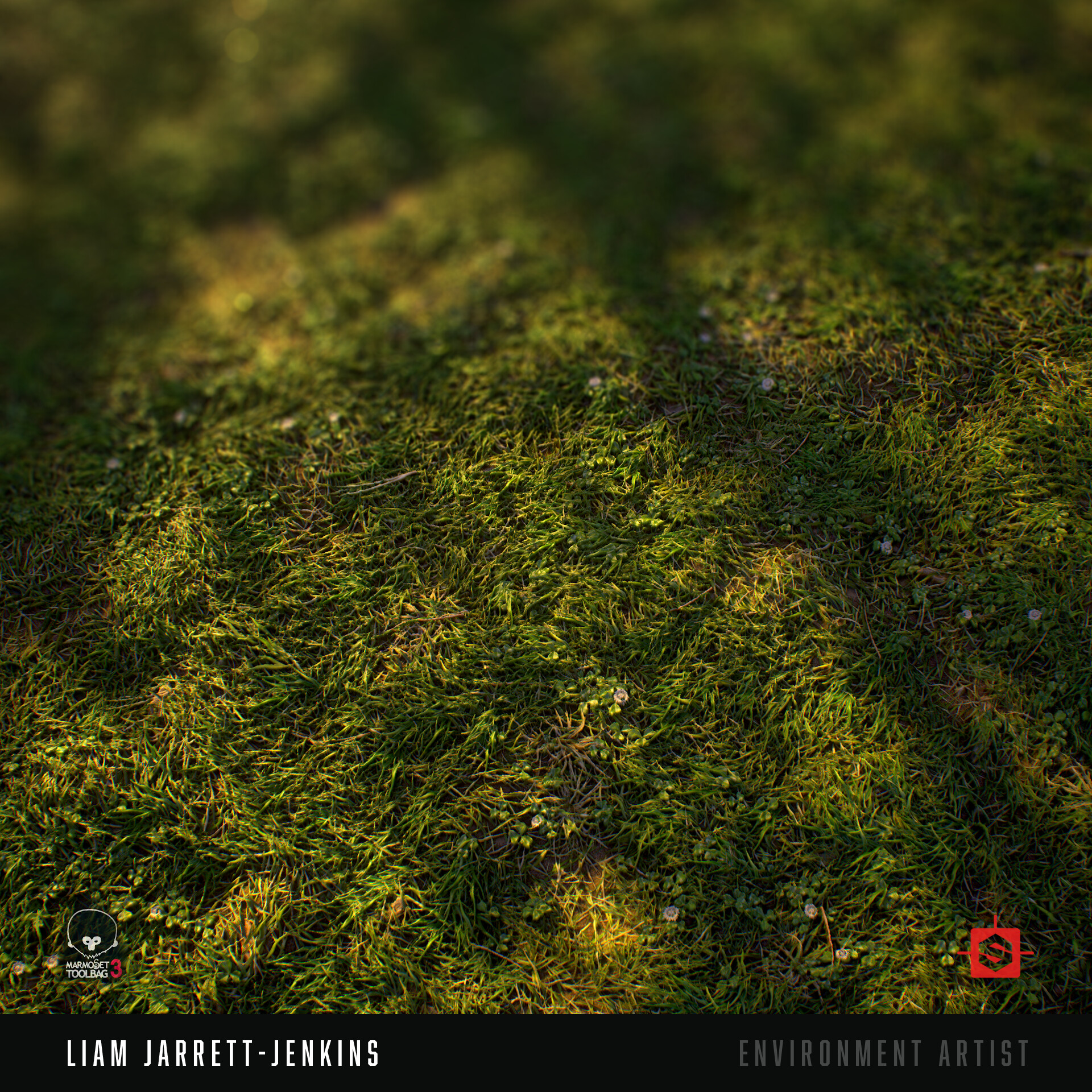 ArtStation - Field Grass