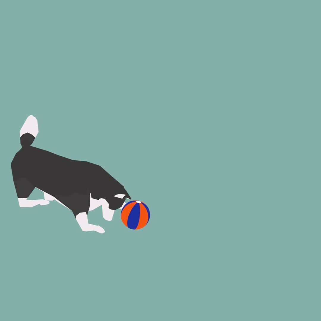 ArtStation - Playful Wolf Animation