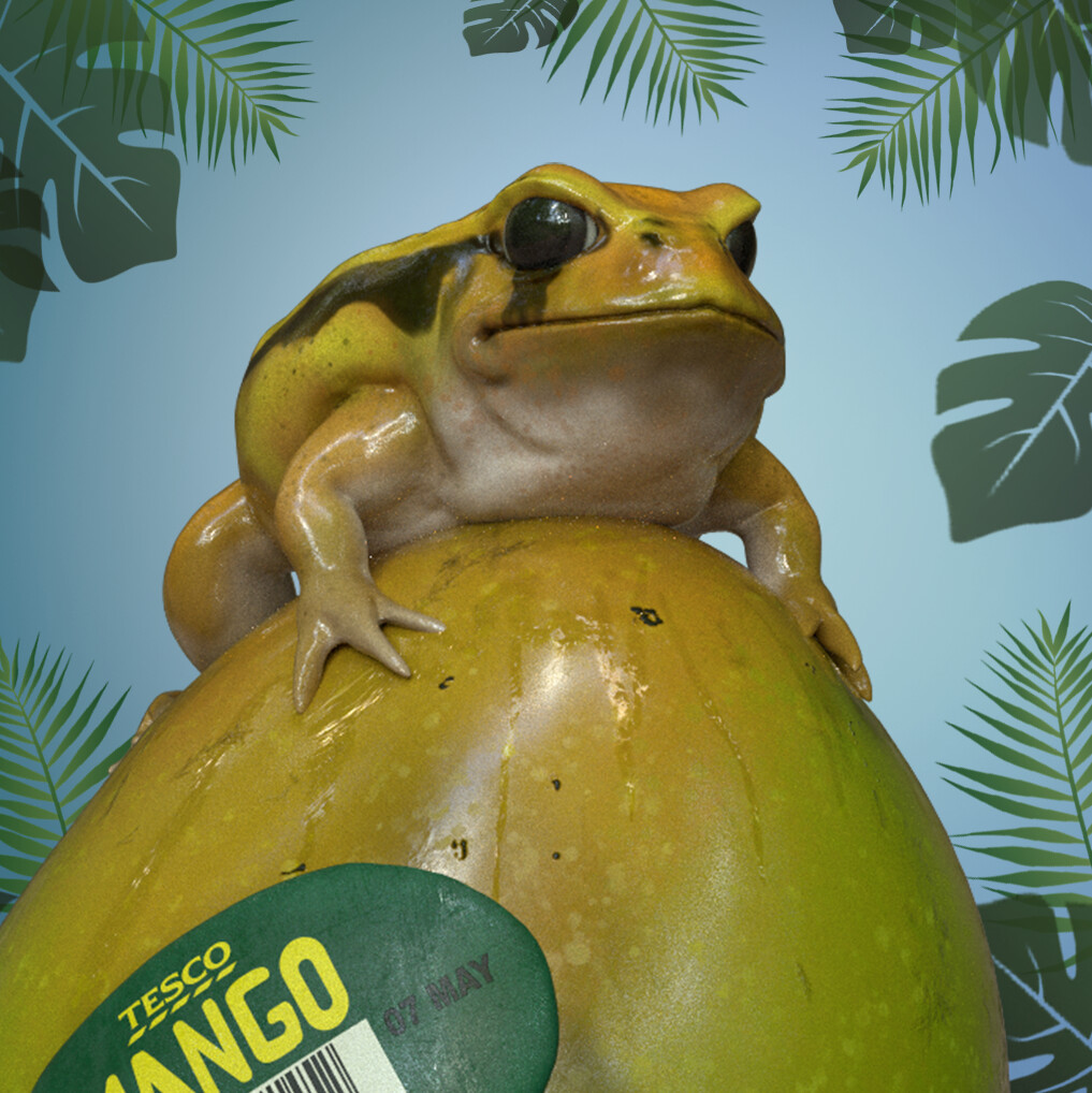 ArtStation - Mango the Tomato Frog