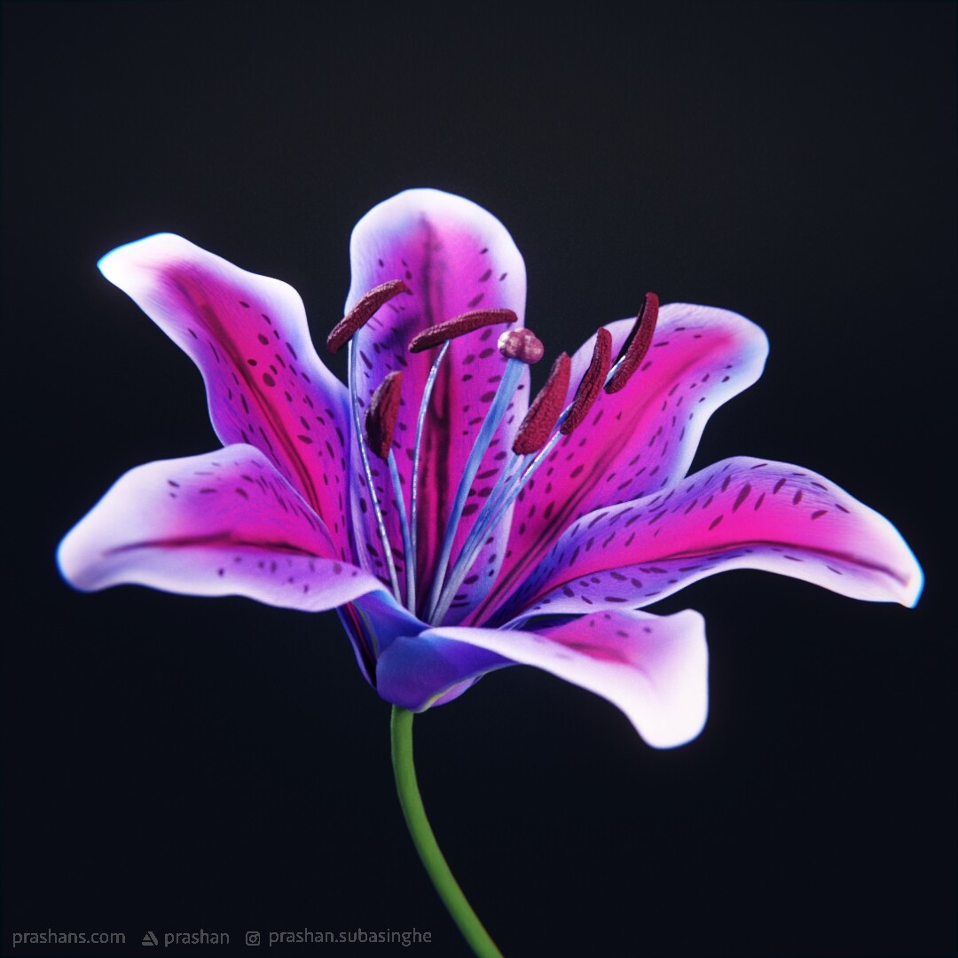 3D artist Prashan Subasinghe