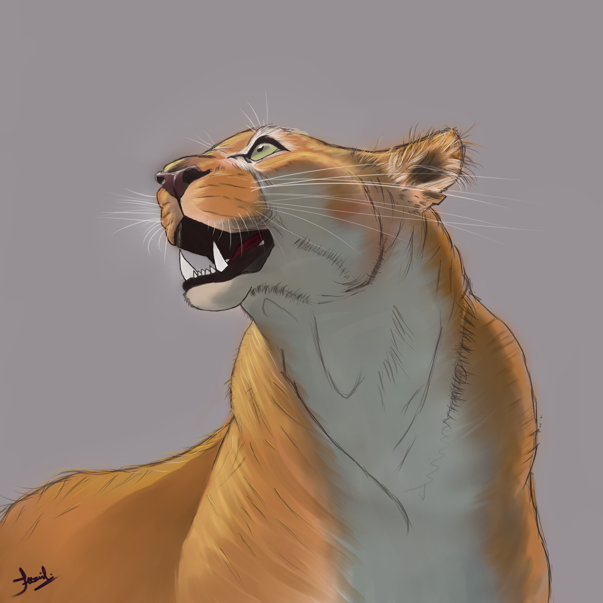 ArtStation - Felidae