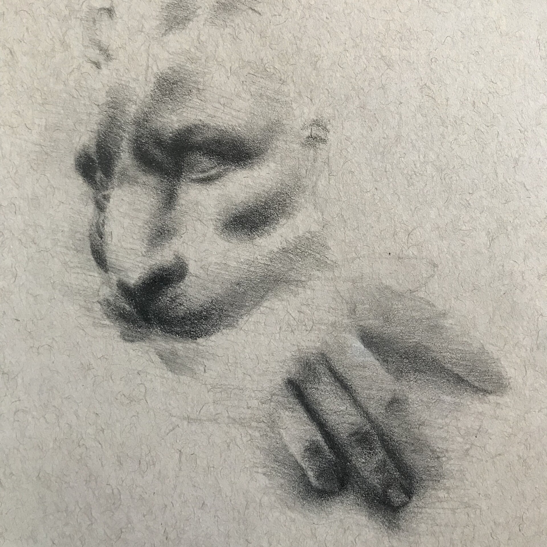 ArtStation - Bernini studies