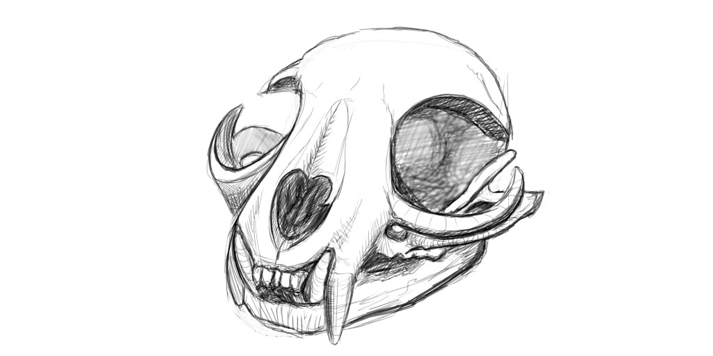 ArtStation - Study - 30min. bone sketches