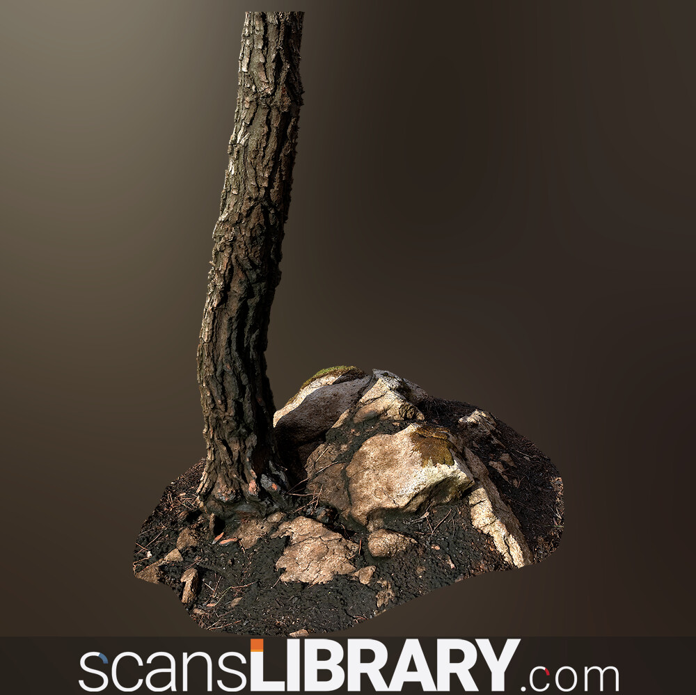 ArtStation - Burned Forest Assets