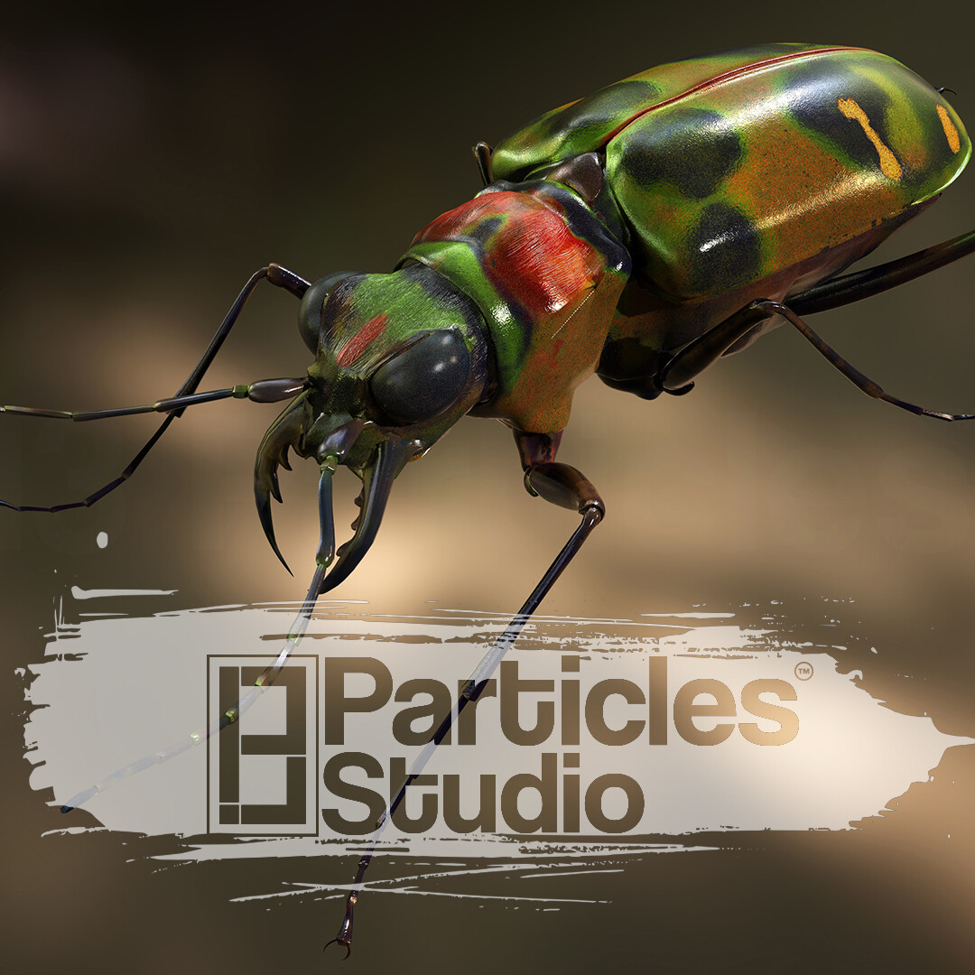 ArtStation - Insects