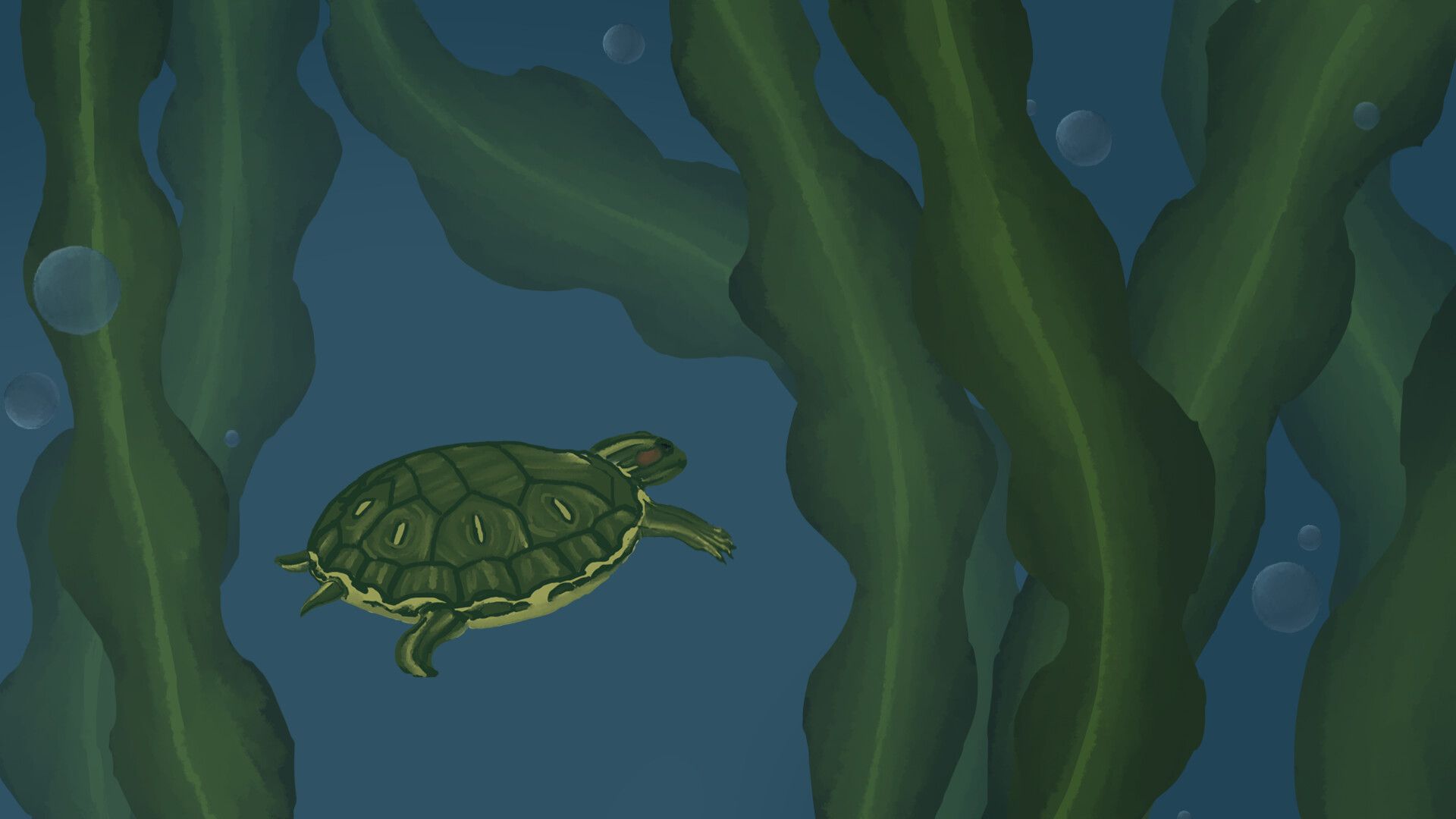 ArtStation - Little Turtle