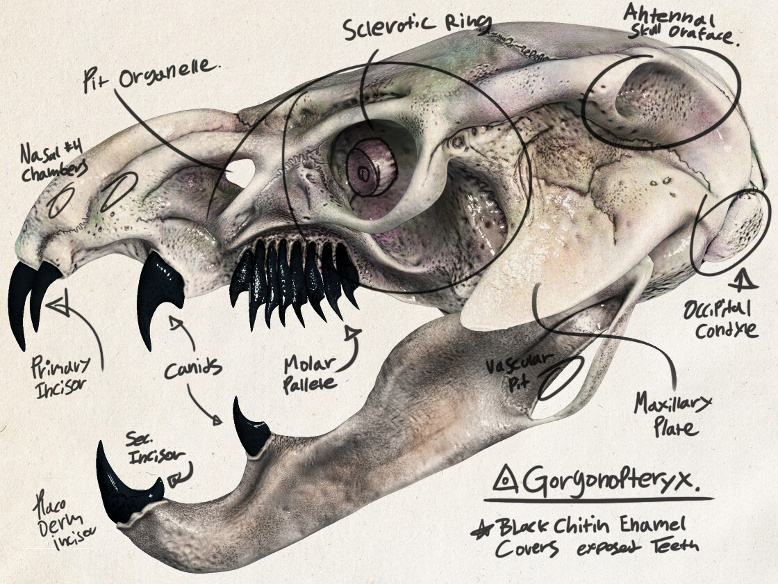 ArtStation - Jungle Manticore - Gorgonopteryx. Ferox