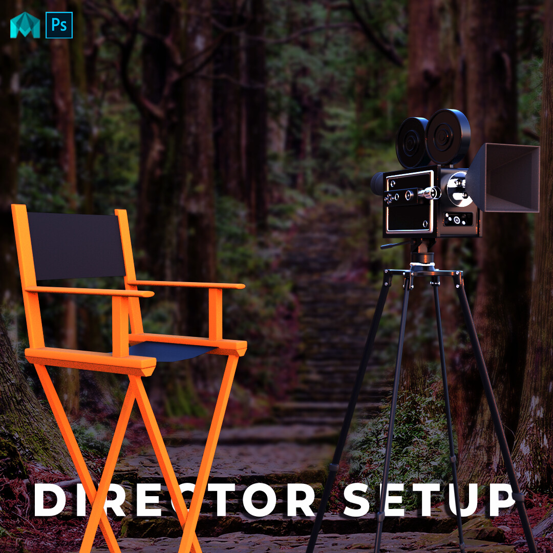 ArtStation - Director setup
