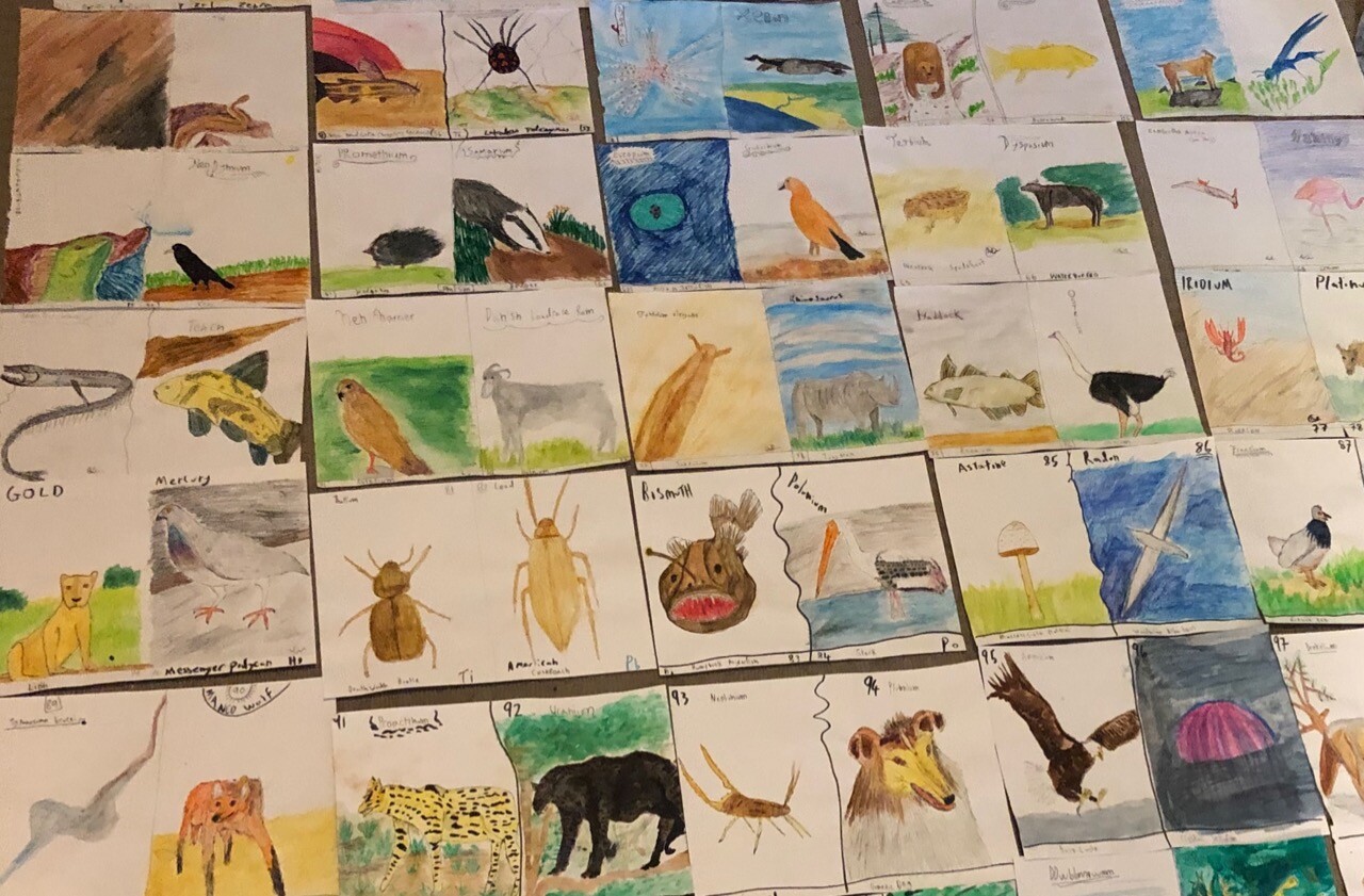 ArtStation - Animals as Elements