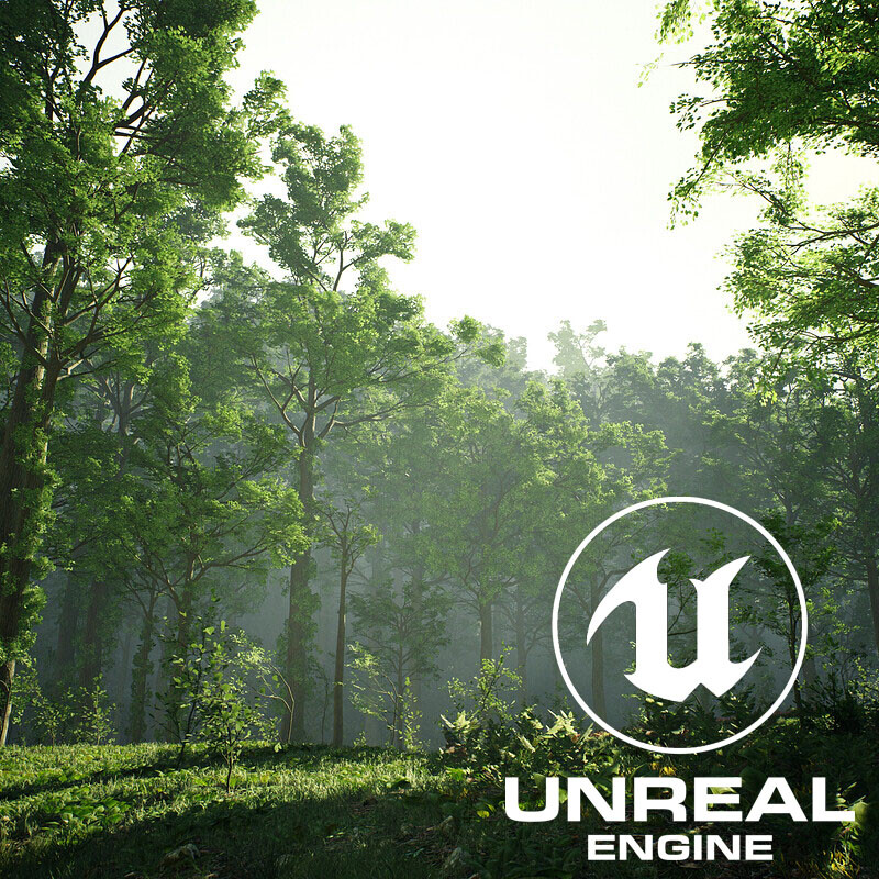 ArtStation - Oak Forest Trees - Unreal Engine 4 - Part 11