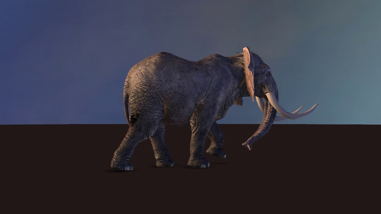 ArtStation - Elephant Walk Cycle