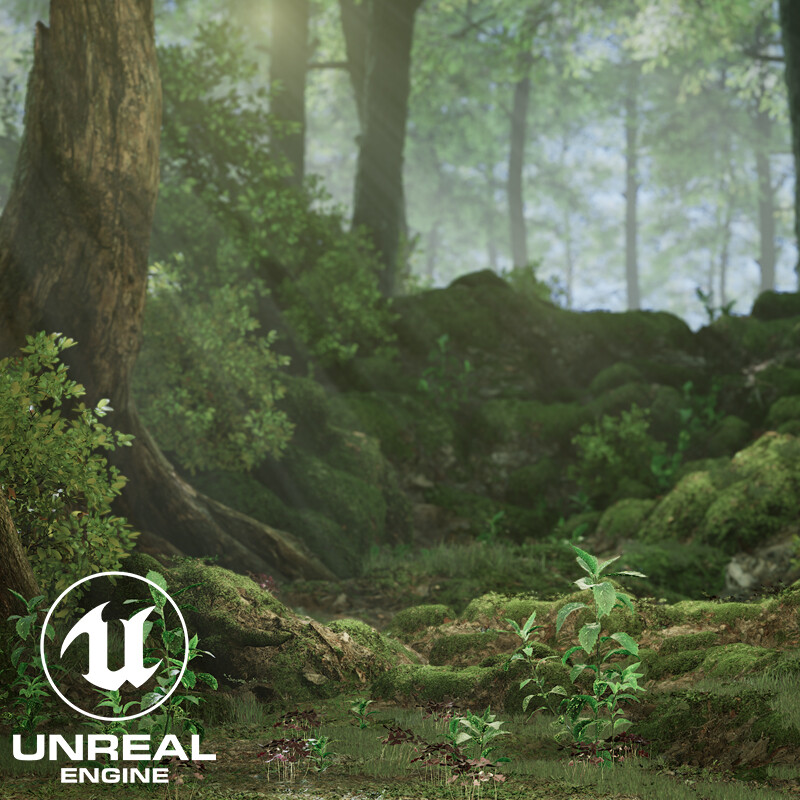 ArtStation - Realistic forest - Unreal 4