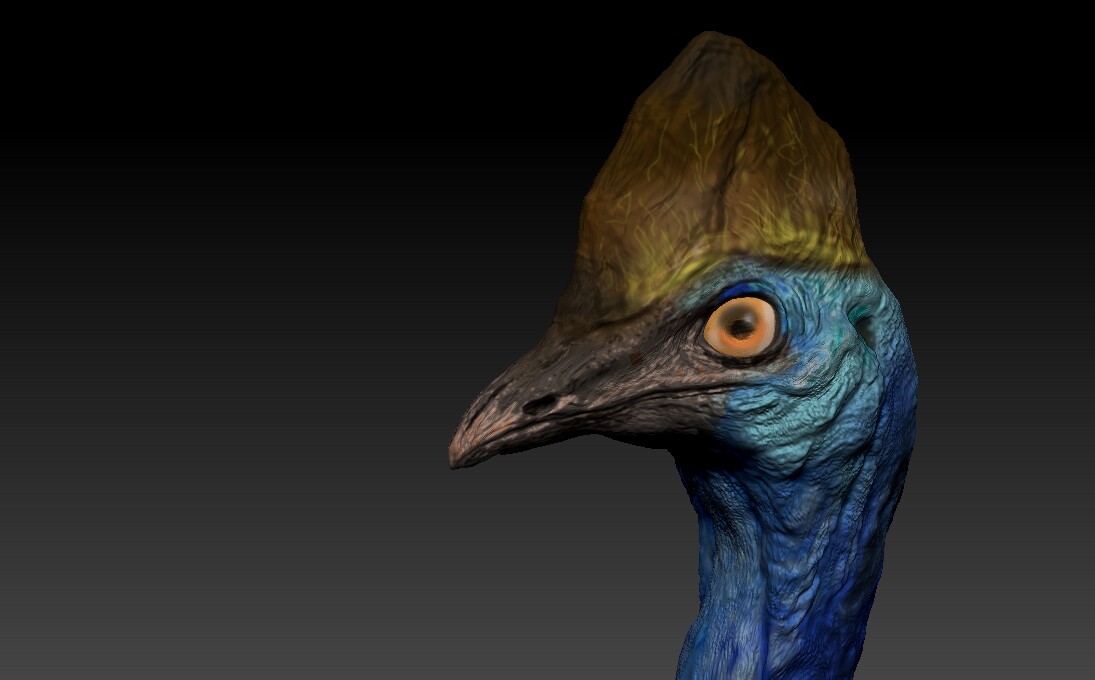 ArtStation - Cassowary