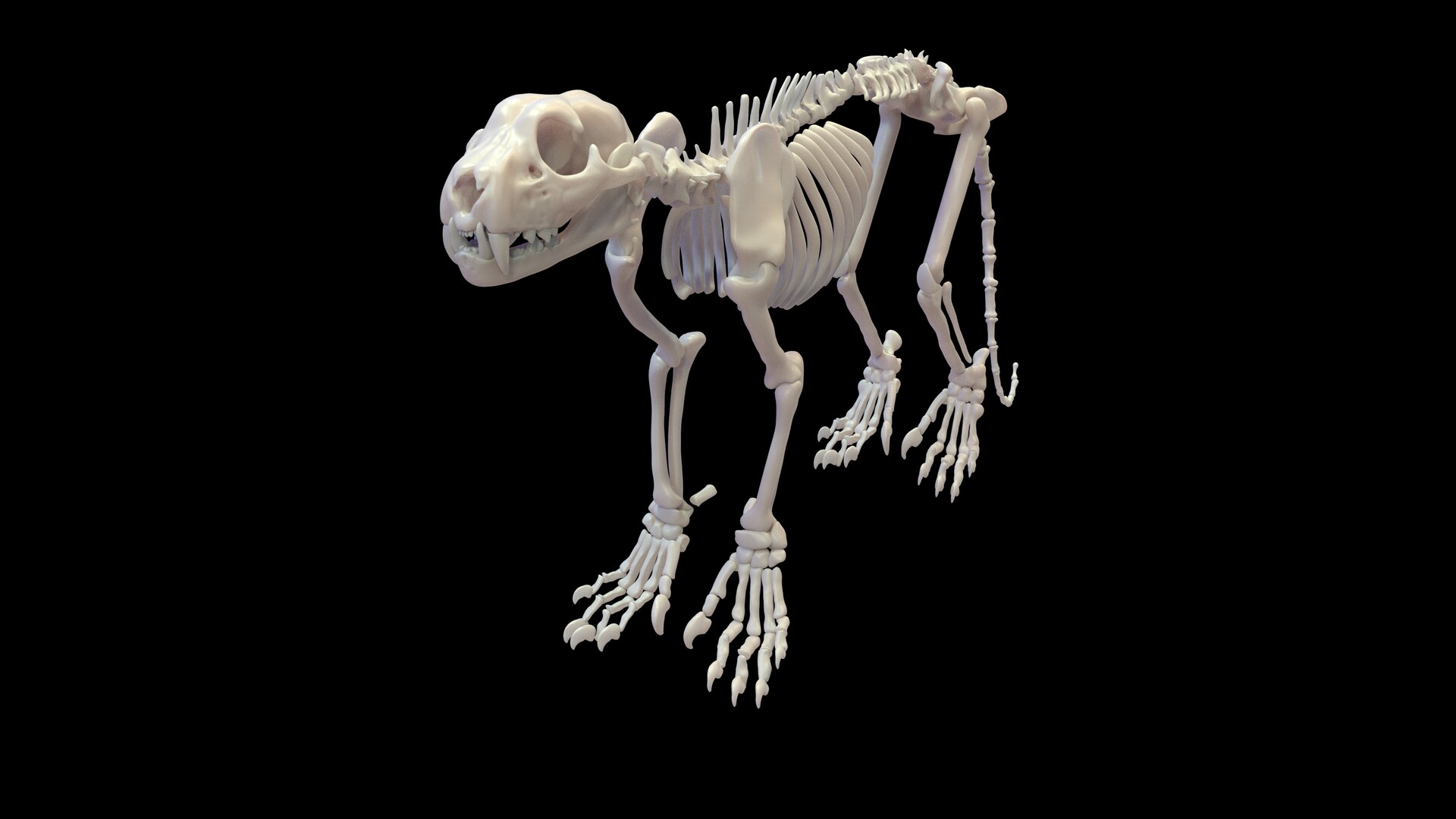 ArtStation - WIP Snowy Bones