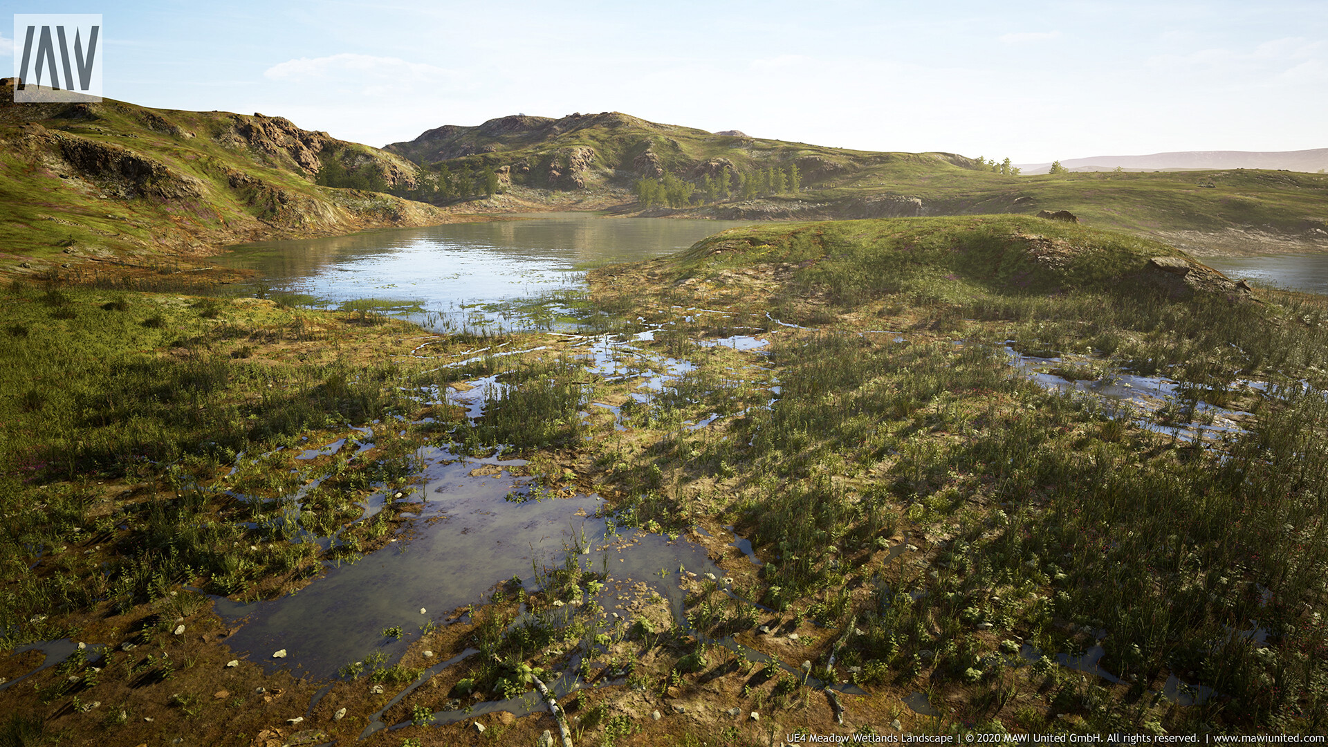 ArtStation - UE4 Meadow Wetland Landscape