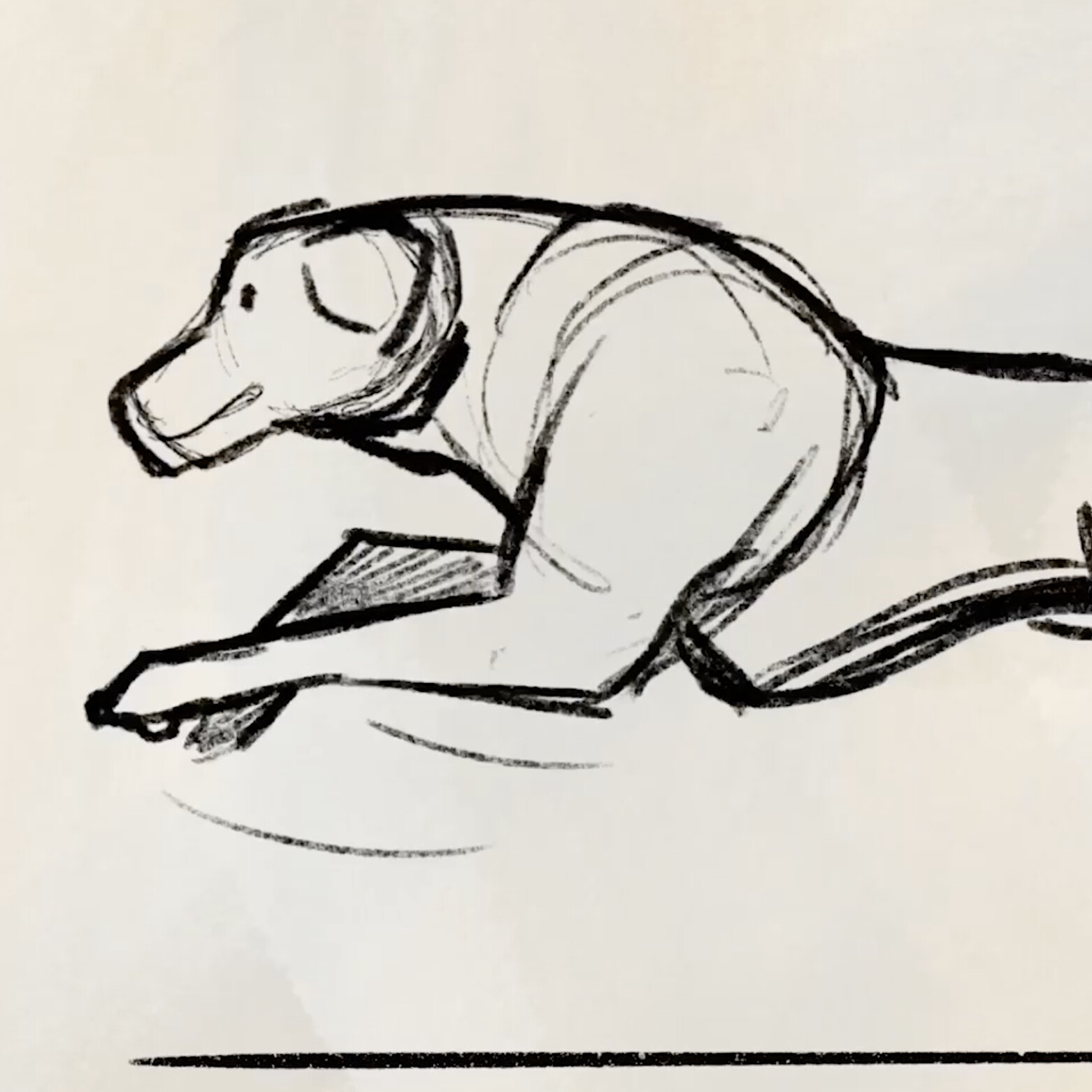 ArtStation - Running dog - Animal locomotion