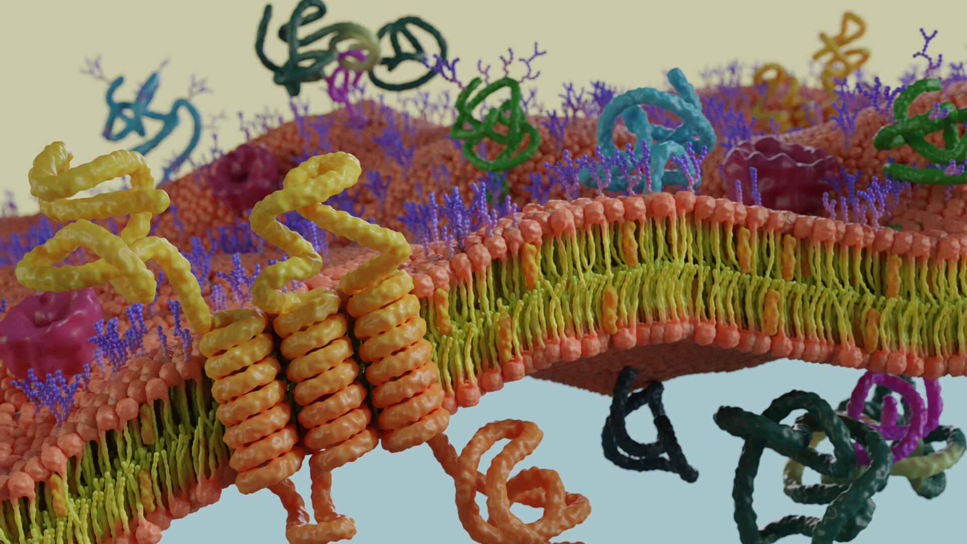 ArtStation - Cell Membrane