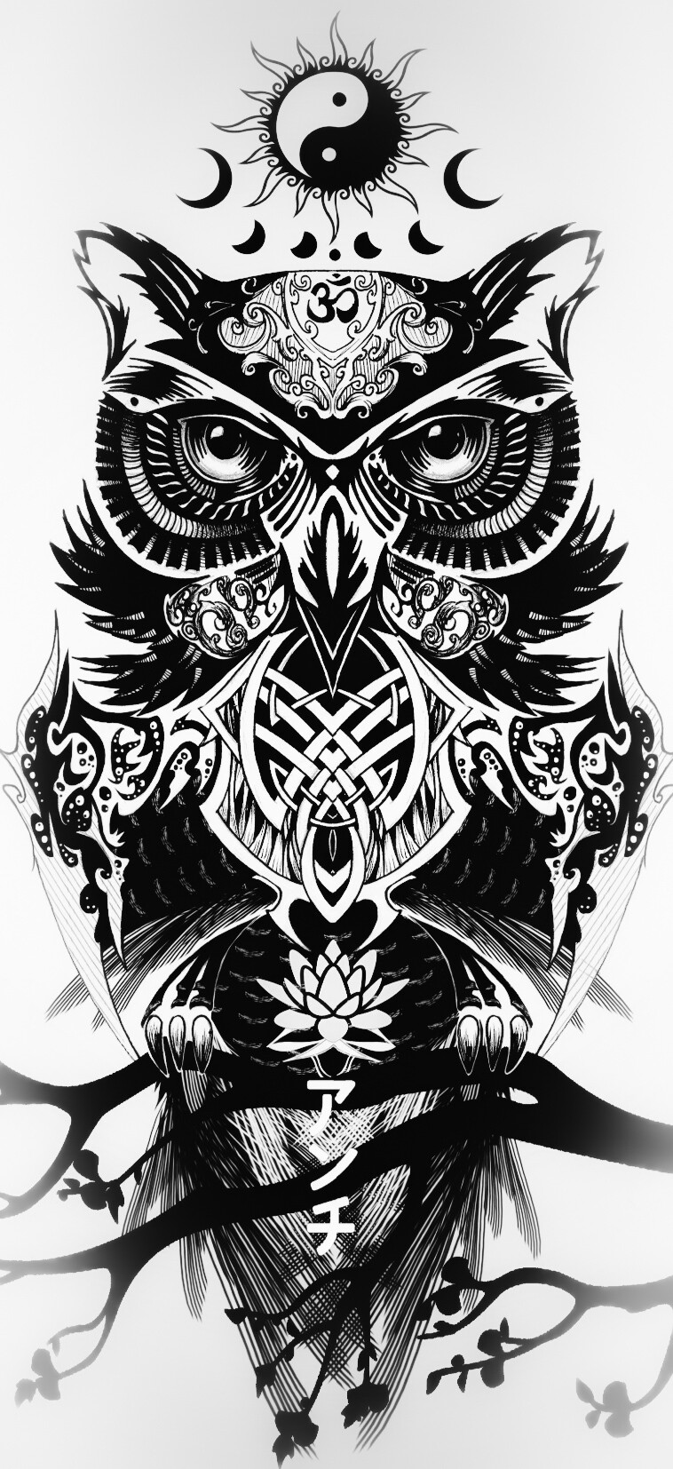 ArtStation - Wise owl