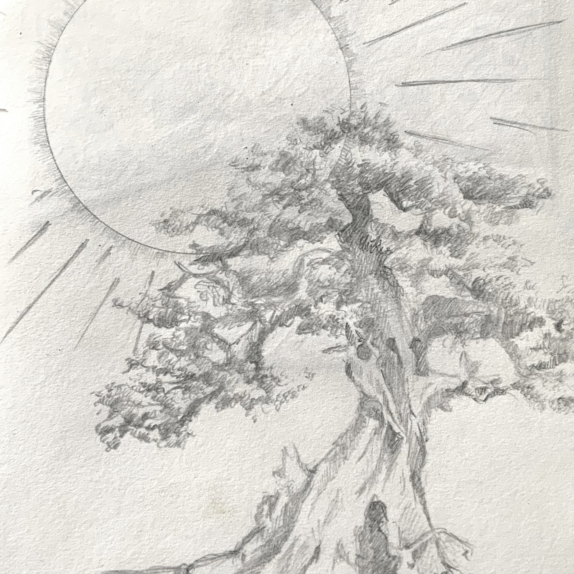 ArtStation - Abstract Trees