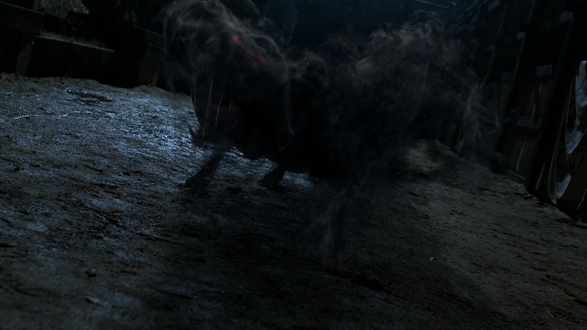 ArtStation - Ghost Dog | VFX