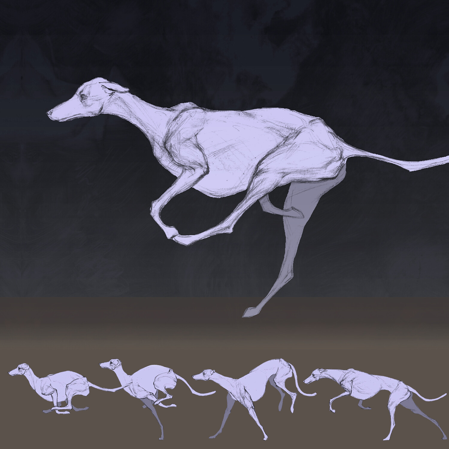 ArtStation - Greyhound Animation