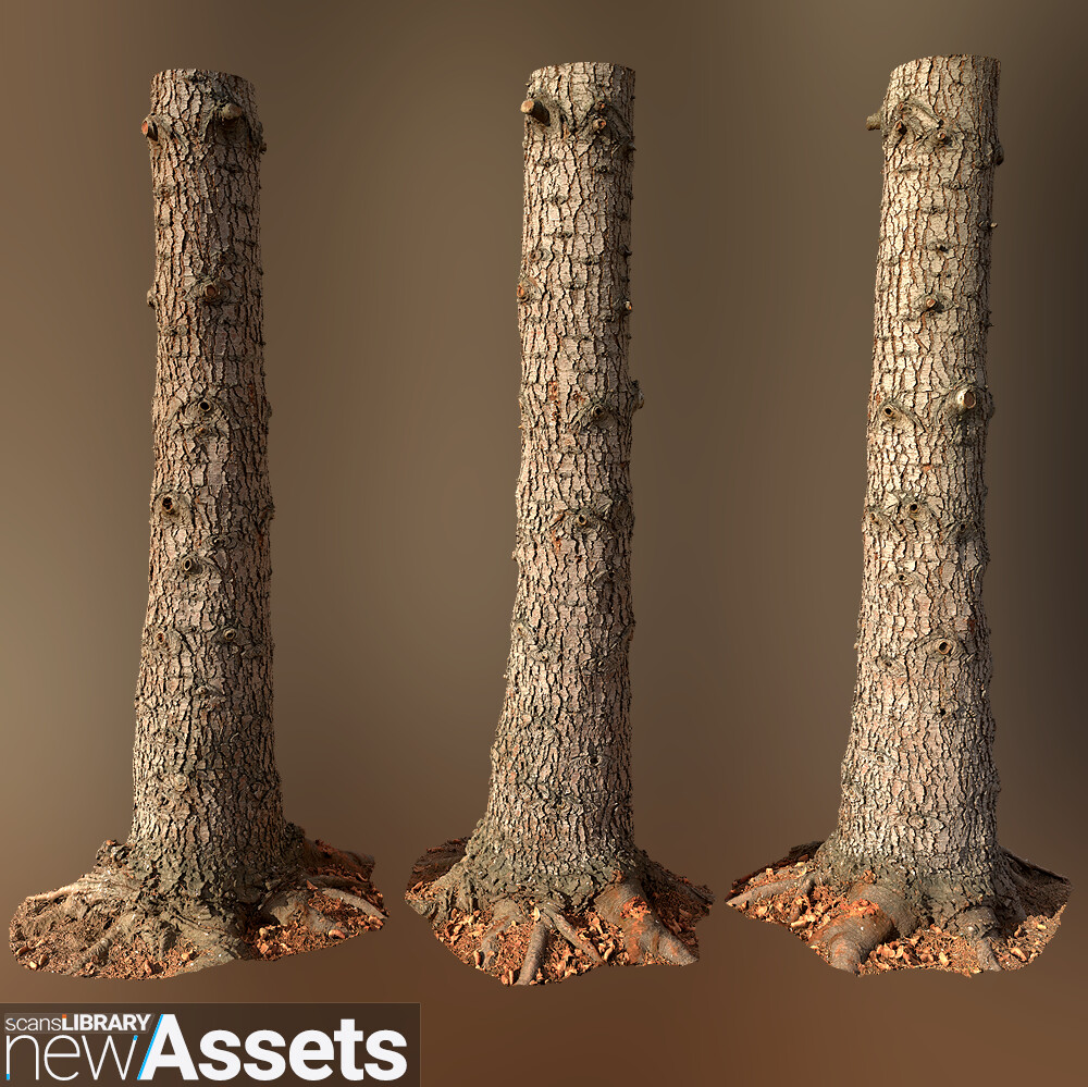 ArtStation - NEW 3D Tree Scans
