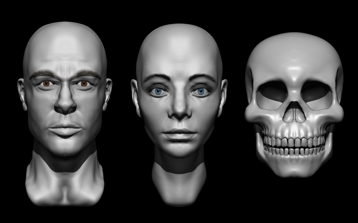 ArtStation - Human Head Anatomy Studies